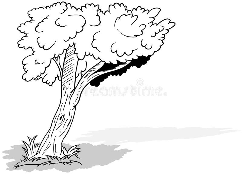 Drawing of a Leafy Tree Standing in the Grass Stock Vector ...