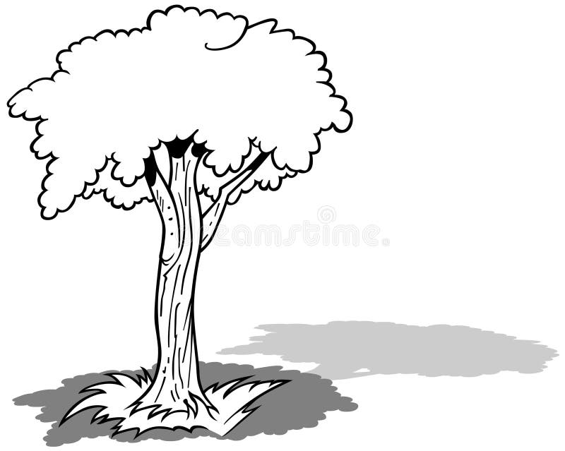 Drawing of a Leafy Tree Standing in the Grass Stock Vector ...