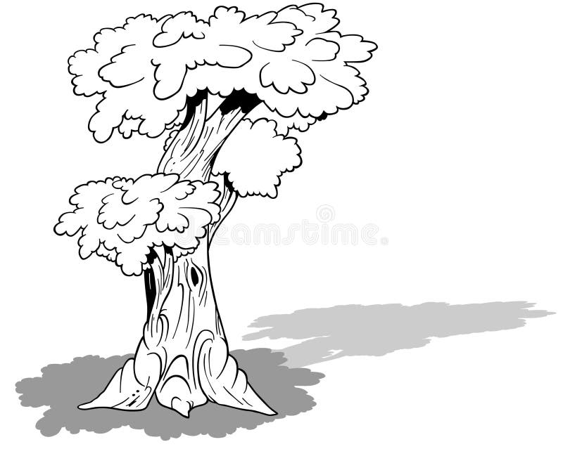 Drawing of a Leafy Tree with Three Crowns Stock Vector - Illustration ...