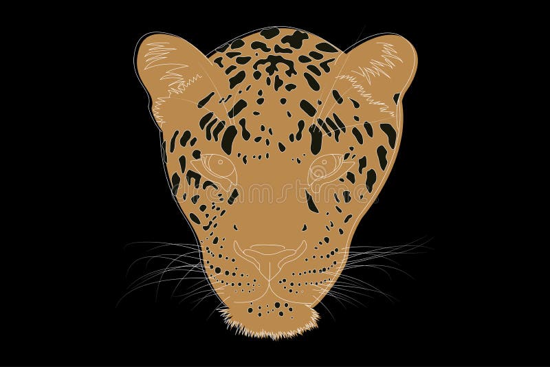 Drawing of a Leopard. Leopard Head Full Face. Simple Linear Drawing of ...