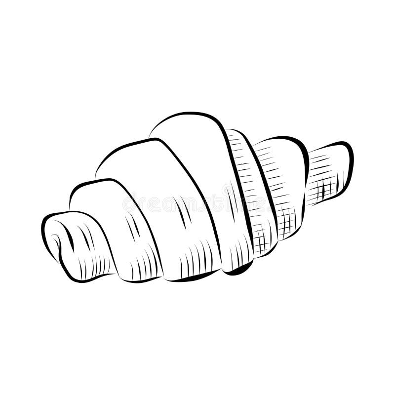 Set of Croissant Vector Hand Drawn. Croissant Illustration. French ...