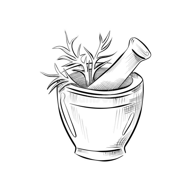 Drawing Lines. Art-line - Art-line - Spice Mortar with Spices and Herbs ...