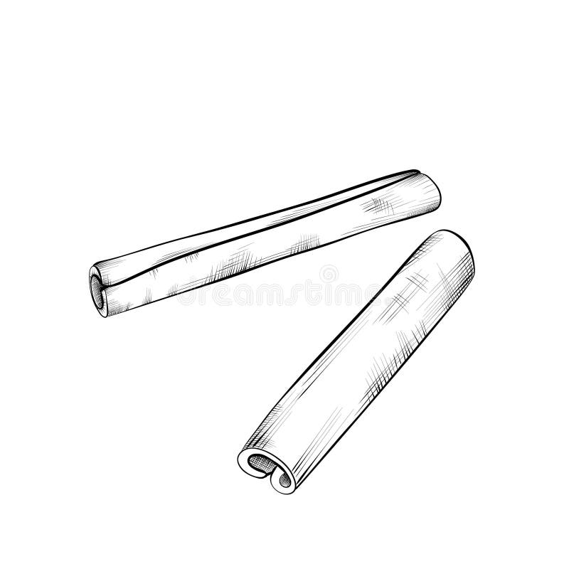 Drawing Lines. Line Art Spice Cinnamon Stock Vector - Illustration of ...