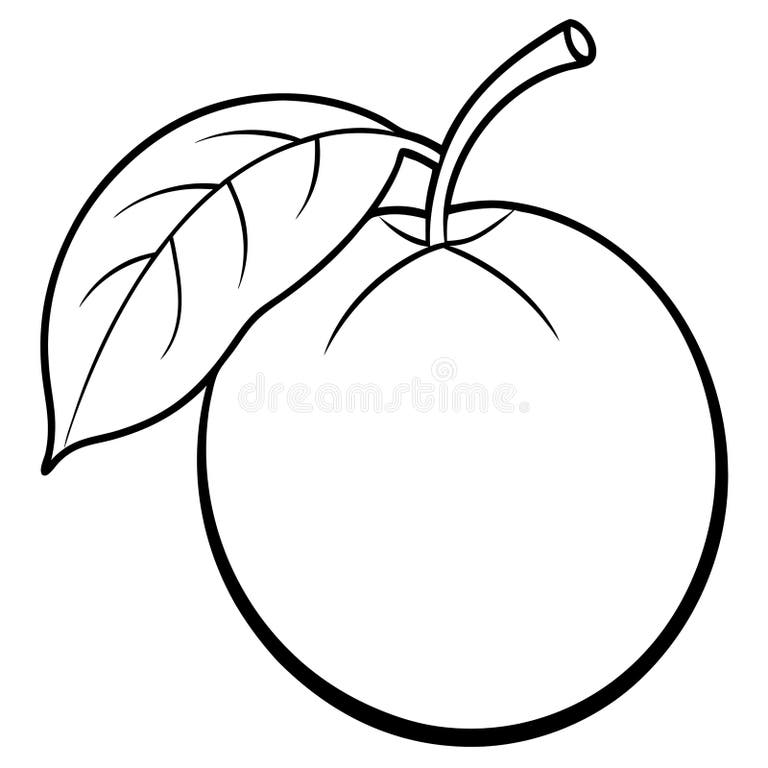 A Drawing of a Loquat with a Leaf on Top Stock Image - Illustration of ...