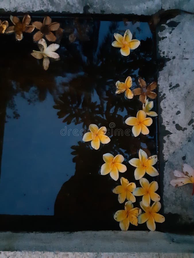 Drawing in the Nature Canvas, Black Shadow in the Picture Stock Photo ...