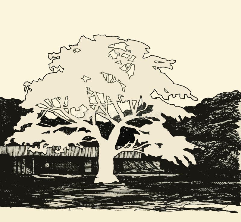 Phantom Drawing Stock Illustrations – 1,154 Phantom Drawing Stock ...