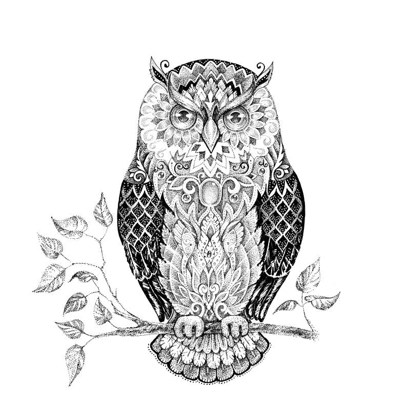 Beautiful Owl Drawings