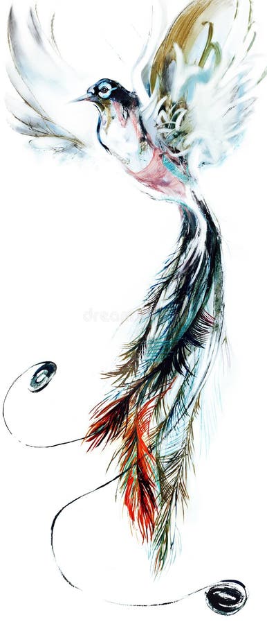 Drawing on Paper of Beautiful Paradise Bird Stock Illustration ...