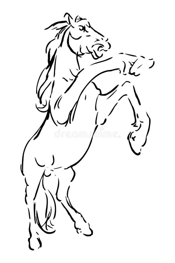 Drawing of prancing horse. stock vector. Illustration of element ...