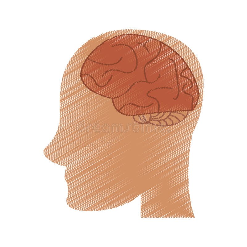 Drawing Profile Head Brain Idea Imagination Stock Vector - Illustration ...