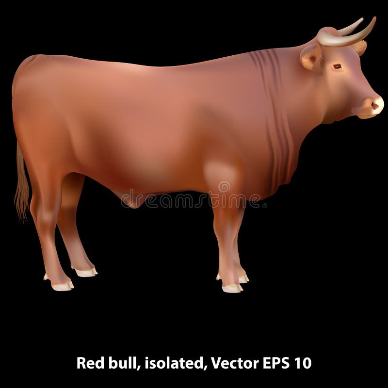 Red Bull Black Stock Illustrations – 4,850 Red Bull Black Stock ...