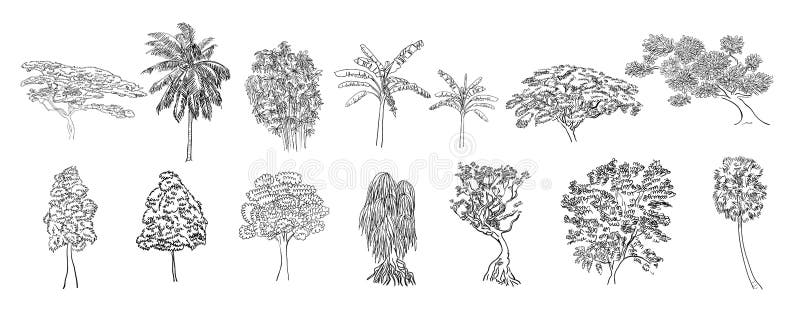 Drawing Set of Tree on White Background Stock Vector - Illustration of ...