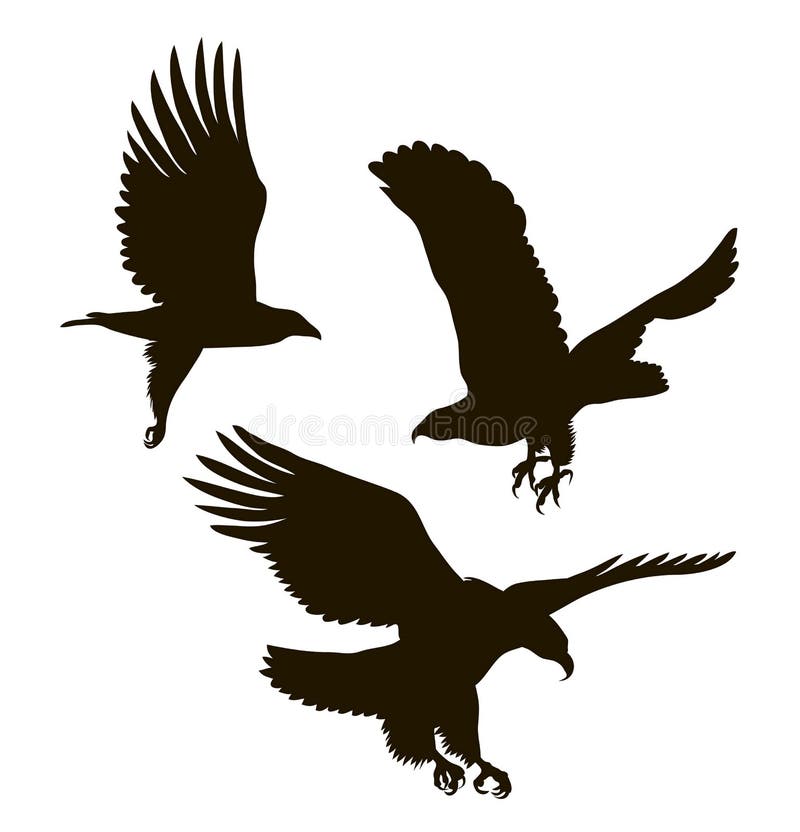 Drawing Silhouettes of Three Eagles Stock Vector - Illustration of ...