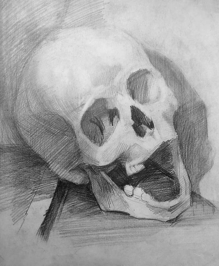 Skull Drawing with a Simple Pencil Stock Illustration - Illustration of ...