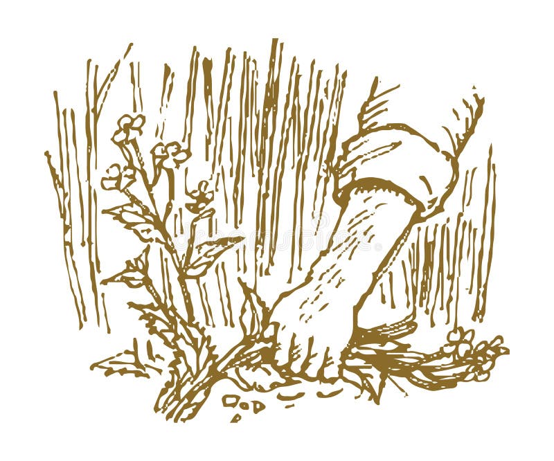 Former Outline Stock Illustrations – 297 Former Outline Stock ...