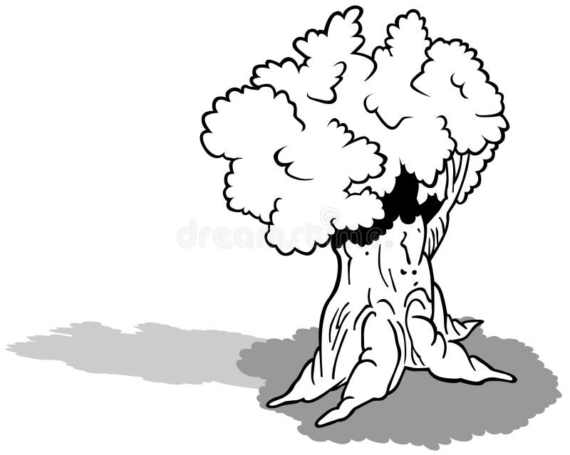 Drawing of Small Leafy Tree Stock Vector - Illustration of isolated ...