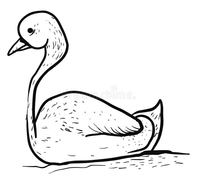 Drawing of Swan, Illustration, Vector Stock Vector - Illustration of ...