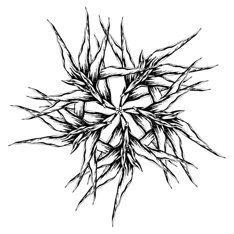 Sharp Rock Black White Stock Illustrations – 645 Sharp Rock Black White ...