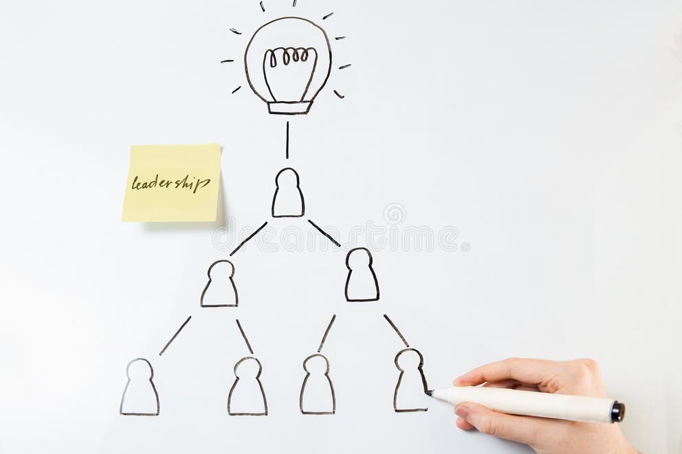 Drawing Team Hierarchy on Whiteboard with Leadership Note Stock Photo ...