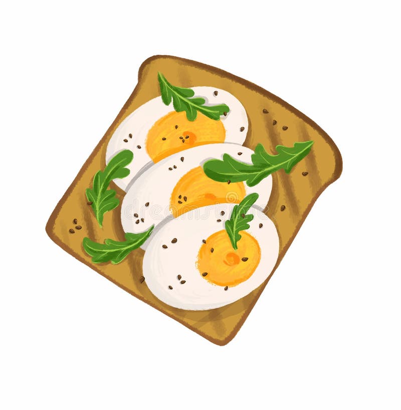 Drawing Toast with Cream Cheese and Avocado Stock Illustration ...