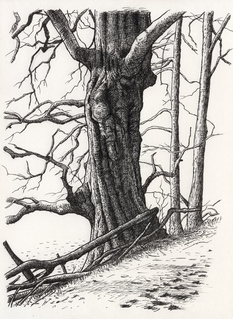 Pen Ink Tree Stock Illustrations – 9,780 Pen Ink Tree Stock ...