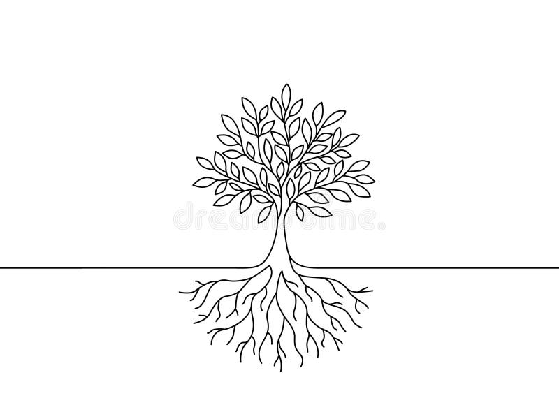 Drawing of Tree with Leaves and Big Root. Continuous One Line Sketch ...