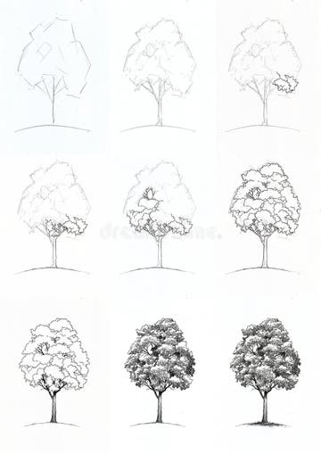 How To Draw Tree Stock Illustrations – 69 How To Draw Tree Stock ...