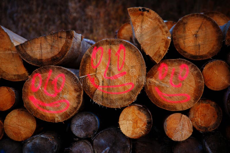 Drawing of Trees Smiley Face. Happy Concept, on Stock Image - Image of ...