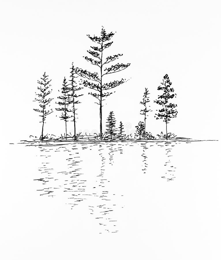 Drawing of the Trees in Water Stock Illustration - Illustration of ...