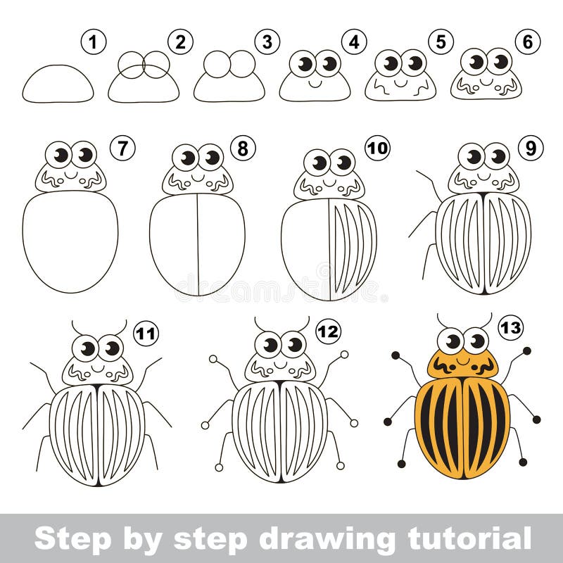 Drawing Tutorial. the Colorado Bug. Stock Illustration - Illustration ...