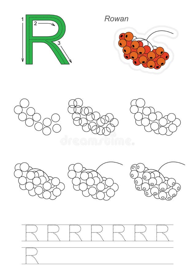 Drawing Tutorial. Game for Letter R. Red Rowan. Stock Vector ...