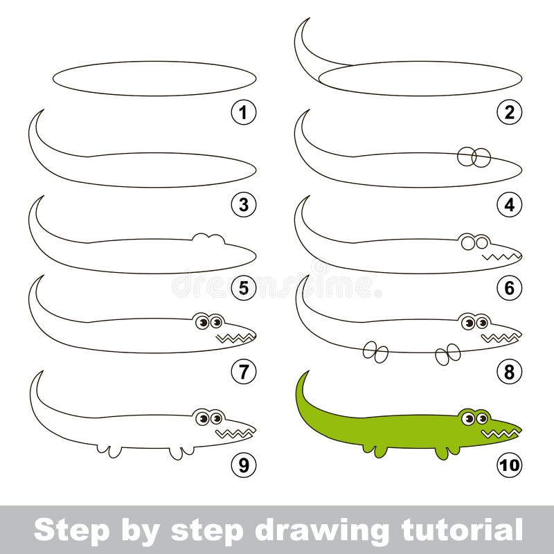 Drawing Tutorial. How To Draw an Alligator Stock Vector - Illustration ...