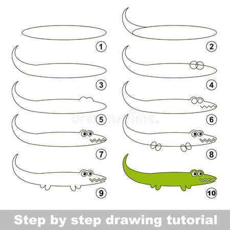 Drawing Tutorial. How To Draw an Alligator Stock Vector - Illustration ...