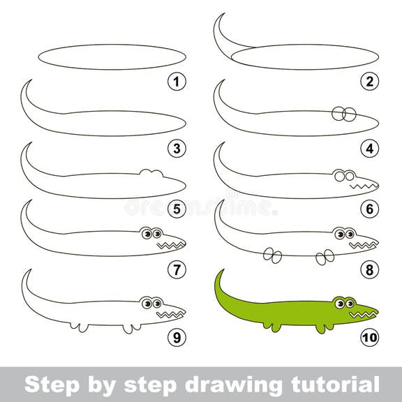 Drawing Tutorial. How To Draw an Alligator Stock Vector - Illustration ...