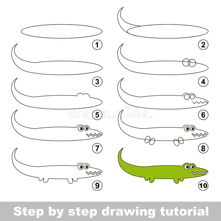 Drawing Tutorial. How To Draw an Alligator Stock Vector - Illustration ...