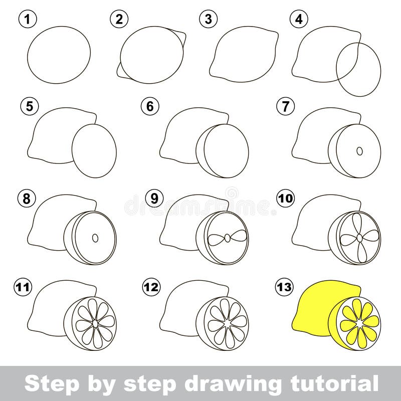 Drawing Tutorial. How To Draw a Lemon Stock Vector - Illustration of ...