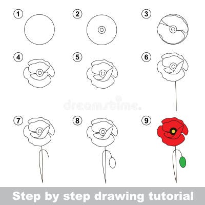 Drawing Tutorial. How To Draw a Poppy Stock Vector - Illustration of ...