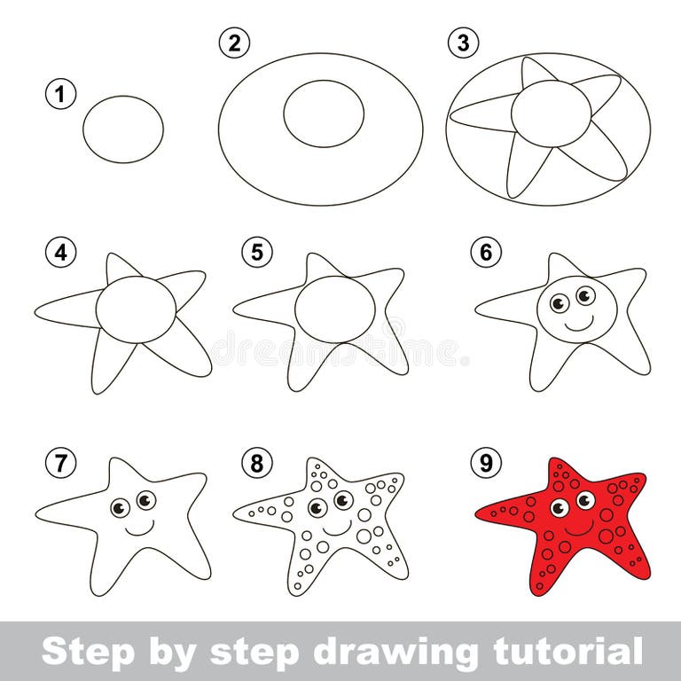 Drawing Tutorial. How To Draw a Starfish Stock Vector - Illustration of ...