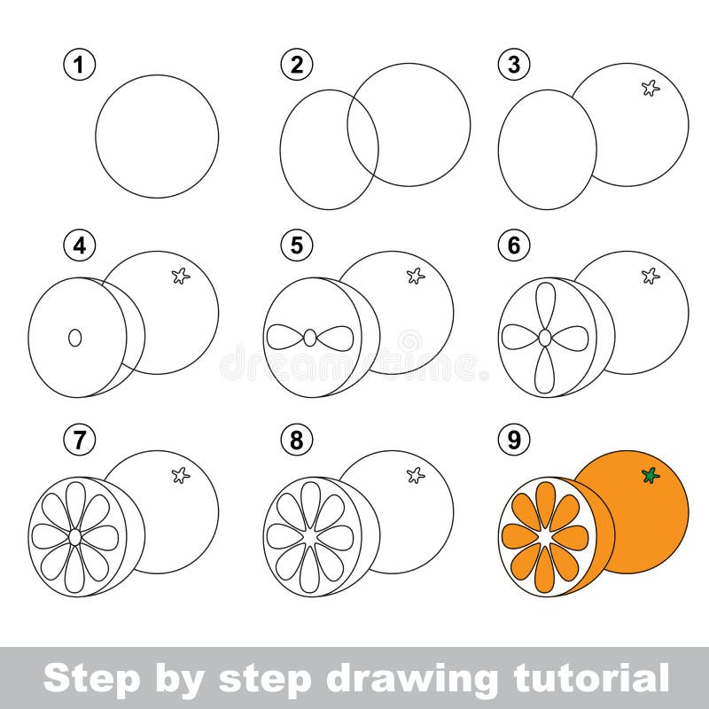 Drawing tutorial. Orange. stock vector. Illustration of paper - 79673901