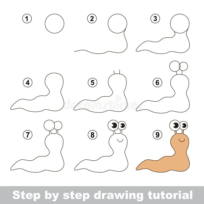 Drawing Tutorial. the Slug. Stock Vector - Illustration of educational ...