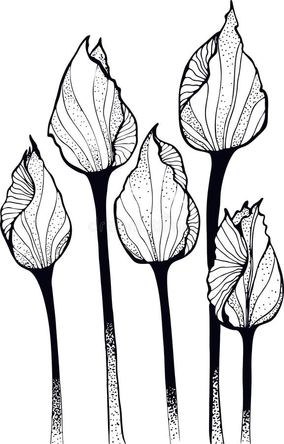 Drawing Vector Graphics with Floral Pattern for Design. Floral Flower ...