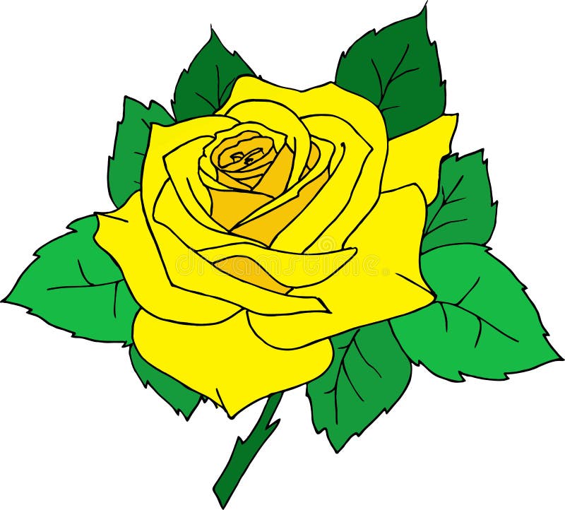 Drawing of a Yellow Rose Bud with Leaves Close-up, Isolated Element ...