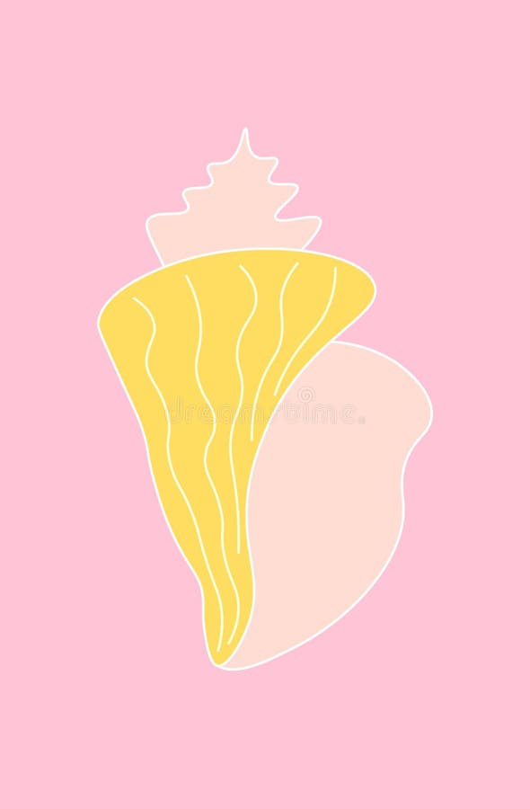 Drawings of Illustrations of Sea Shells in Pastel Shades on a Light ...