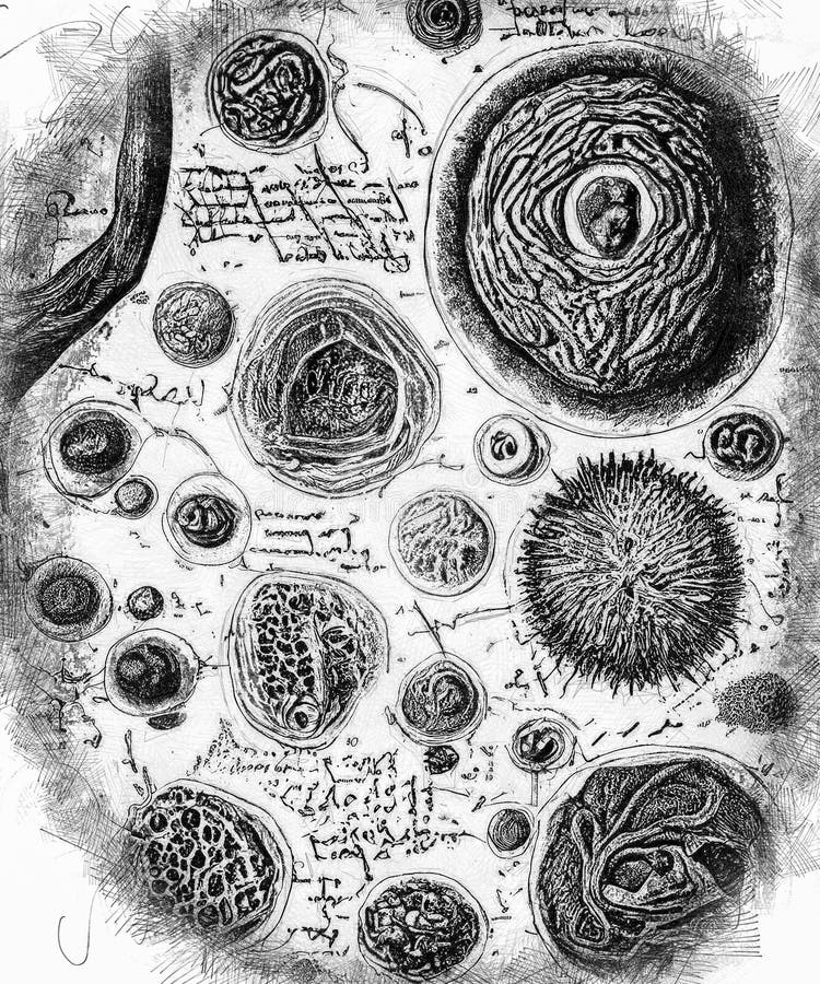 Drawings of Microbes in Antique Book with Annotations on an Abstract ...