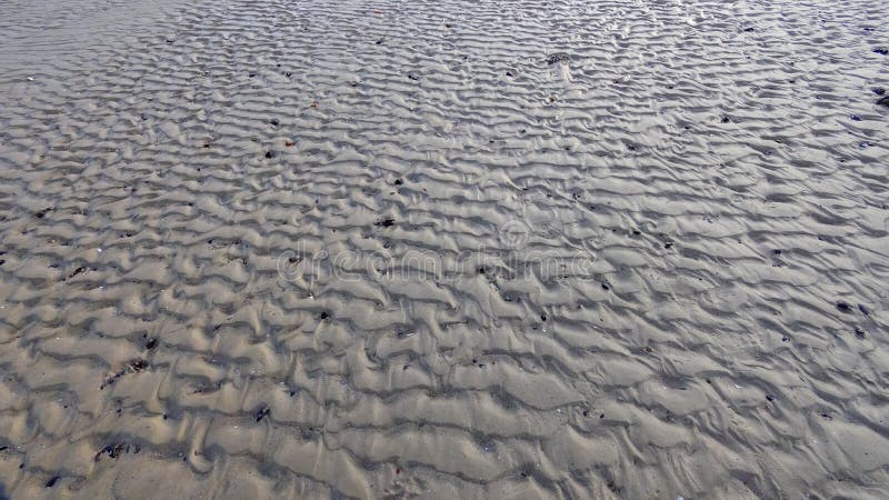 Drawings on the Muddy Bottom of the Ebb Field, the Reflection of Stock ...