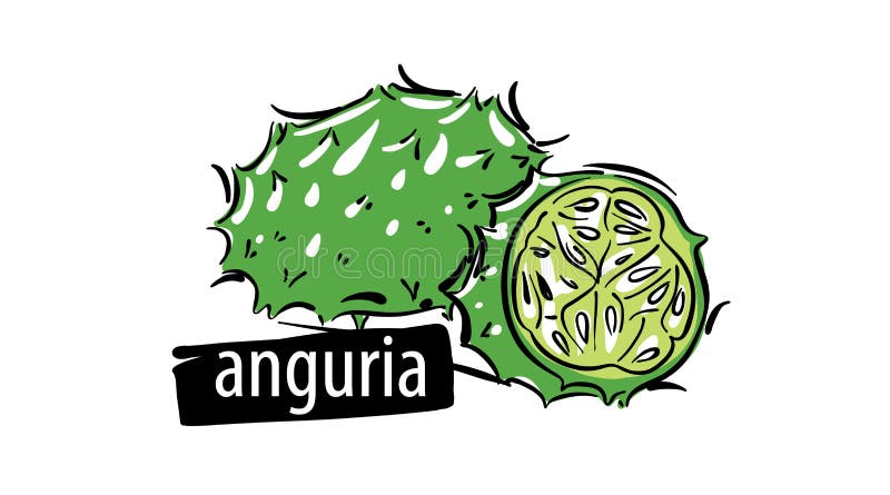 Anguria Stock Illustrations – 18 Anguria Stock Illustrations, Vectors ...