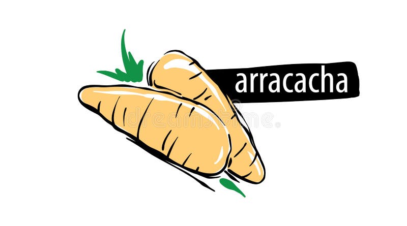 Batatabaroa Stock Illustrations – 14 Batatabaroa Stock Illustrations ...