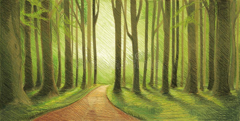 Drawn Forest stock illustration. Illustration of sketchy - 42744528