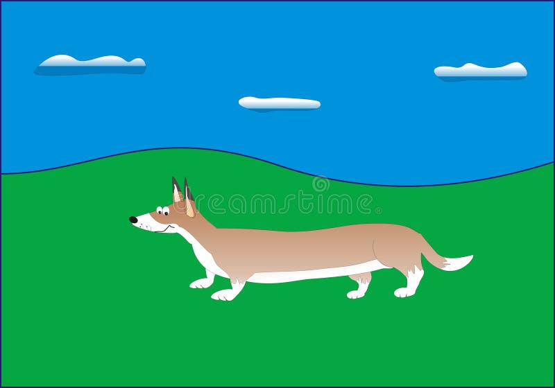 A long dog in the field stock vector. Illustration of smiling - 30157329