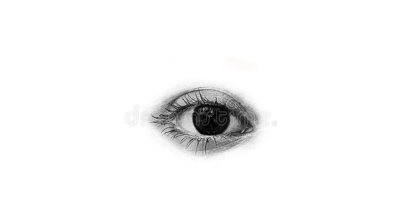 Drawn Male Eye on a White Background Stock Illustration - Illustration ...